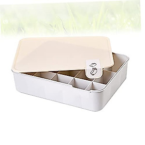Alipis Box Drawers Plastic House Socks Plastic Organizer Drawers Underwear Finishing Box Panties Organizer Panties Holder Compartment Box Storage Box Bra Panty Rack Beige Socks Container