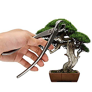 TOPINCN Bonsai Tool Branch Cutter Stainless Steel Garden Knob Cutter Bonsai Cutter Concave Cutter Gardening Tool 210mm (8.26")