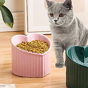 Pink Ceramic Raised Cat Bowls, Tilted Elevated Food or Water Bowls, Stress Free, Backflow Prevention, Dishwasher and Microwave Safe, Lead & Cadmium Free