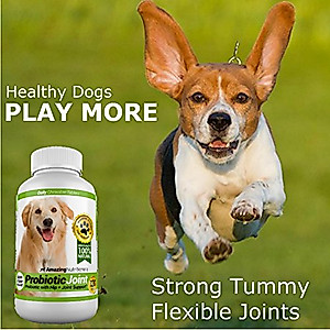 Amazing Probiotics for Dogs Eliminates Diarrhea and Gas with Hip Joint Pain Relief, 120 Chews