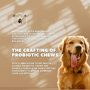 Aniwell Probiotics Chews for Digestive Health: Powered by Mixed Tocopherols, Supports Gut Health, Digestive Balance & Allergy Relief - 30 Soft Chews