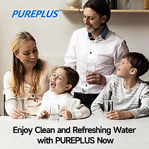 PUREPLUS 40 Micron Whole House Spin Down Sediment Water Filter With Scrapper, Reusable Flushable Pre-Filtration System for City/Tap water, 1" MNPT + 3/4" FNPT + 3/4"MNPT, Brass, BPA Free, USA Tech
