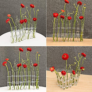 DOITOOL 8Pcs Test Tube Vase Decorative Glass Vase Hinged Bud Test Tubes Vases Planter Arranging Container Hydroponic Holder Decor with Hooks and Brushes 18cm