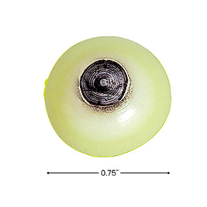 Spooky Glow-In-The-Dark Squishy White Eyeball (.75") - 12 Pcs - Perfect for Sensory & Anxiety Relief