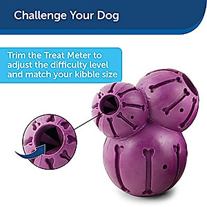 PetSafe Busy Buddy Barnacle - Dog Chew Toy - Treat Dispensing Dog Toys Purple Large