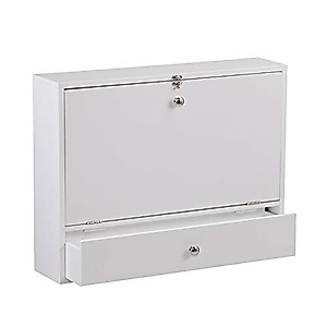 SEI Furniture Willingham Wall Mount Folding Desk, White