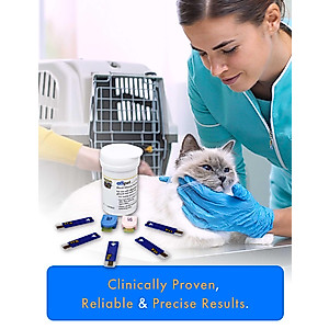 eBmonitor eBpet Blood Glucose Monitor System - Dogs and Cats Glucose Monitoring Kit 25 Blood Glucose Test Strips Lancing Device, Battery, 26 Gauge Sterile Lancets, and Carrying Case, Animal Care, Easy Switch between dogs and cats