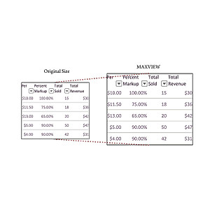 Kantek MAXVIEW LCD Monitor Magnifier for 15-Inch Monitors (Measured Diagonally) (MAG15L)