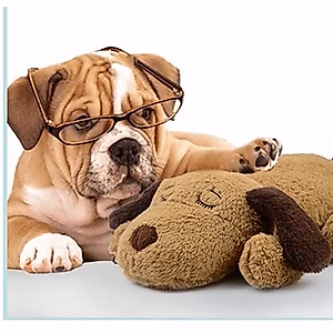 SZENSITE Replacement Heartbeat Box Heartbeat Simulator Box for Puppy Dogs Cats Toy Pets Toys Reborn Doll Anxiety Calming Training Behavioral Aid Sleep No Plush Toy