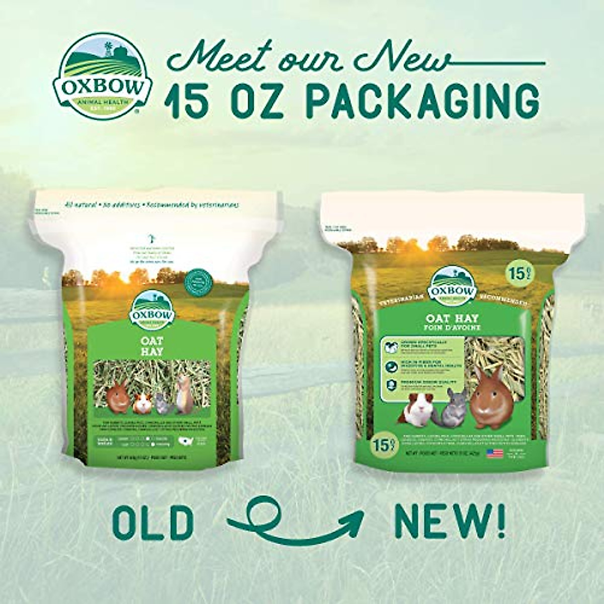 Oxbow Animal Health Oat Hay - All Natural Hay for Rabbits, Guinea Pigs, Chinchillas, Hamsters & Gerbils - 15 oz.