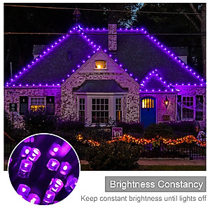 weillsnow 164FT 500 LED Purple Christmas Lights, 8 Modes Waterproof Plug in String Lights for Christmas Indoor Outdoor Yard Party Wedding Garden Home Decorations (Purple)