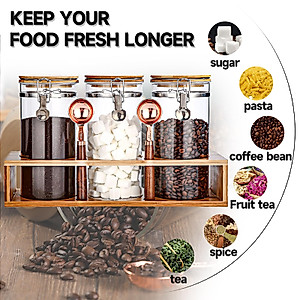GURUDAR Glass Coffee Storage Container with Bamboo Shelf, 3PCS 49oz Airtight Sealed Coffee Bean Jar with Clamp Lid & Measuring Spoon, Kitchen Pantry Canister Set for Ground Coffee Sugar Tea Flour