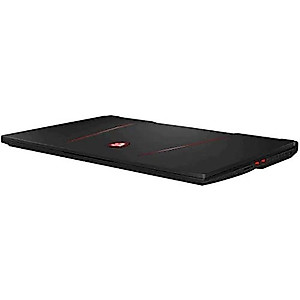 MSI GE75 Raider 2020 Premium Gaming Laptop I 17.3" FHD IPS 144Hz I 10th Gen Intel Hexa-Core i7-10750H I 32GB DDR4 1TB SSD + 2TB HDD I 6GB RTX 2060 RGB Backlit KB Win 10 + Delca 16GB Micro SD Card