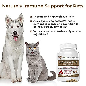 Real Mushrooms Lions Mane for Humans (120ct) and Pets (120ct) - Bundle for Cognition & Immunity - Vegan, Non-GMO, Gluten-Free, Grain-Free Mushroom Extract Supplements