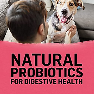 Purina Beyond Natural Dry Dog Food, Superfood Blend Salmon, Egg & Pumpkin Recipe - 3.7 lb. Bag