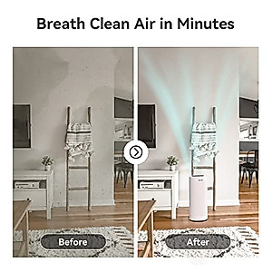 Zen Lyfe Air Purifiers for Home Extra Large Room up to 2360 ft², Washable True HEPA Filter for Allergies and Pets Smokers Pollen Dust Mold Odors Dander, Auto Mode, 24dB, PM2.5 Monitor, White