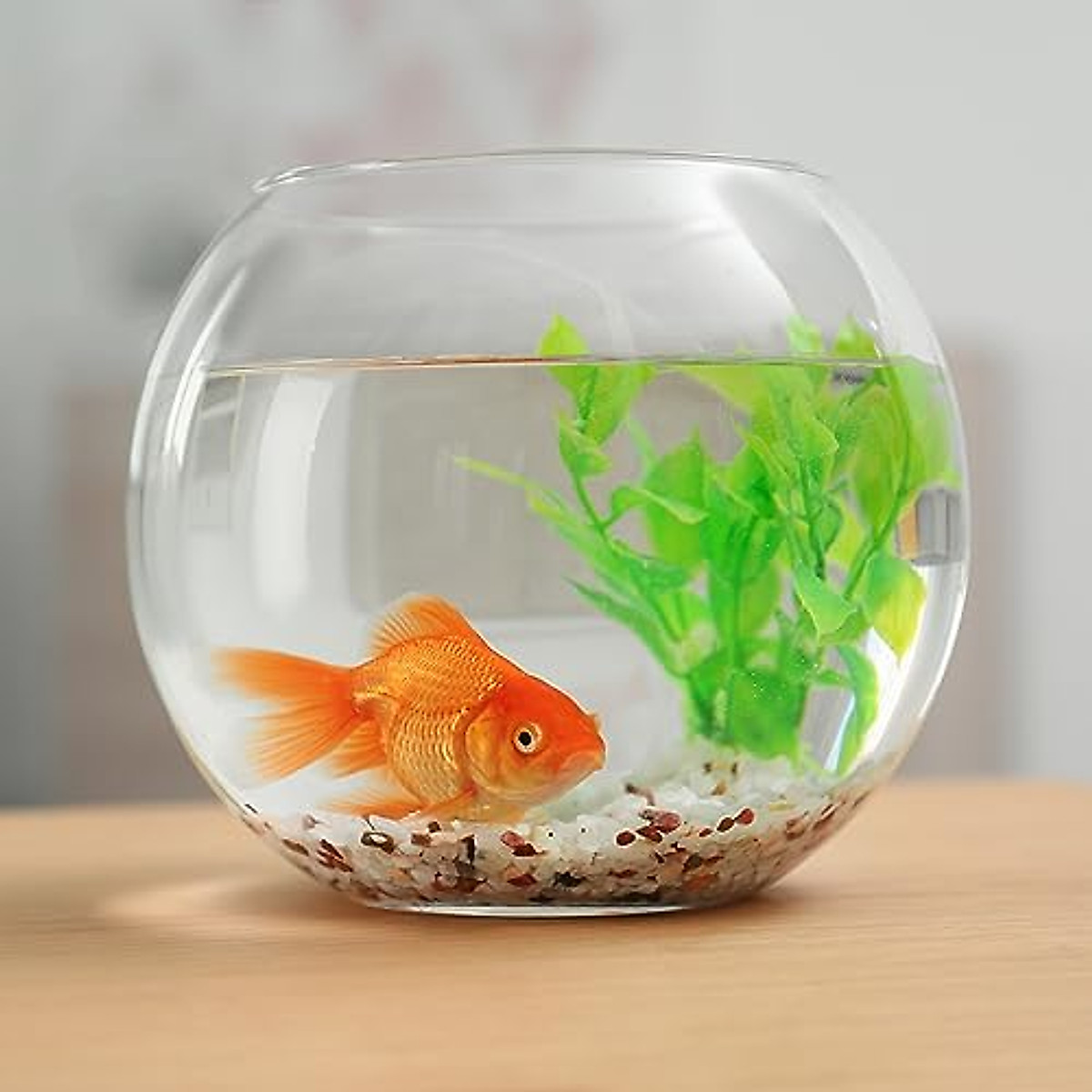 MECCANIXITY 500g/1.1lb 3-6mm Decorative Glass Stones, Polished Glass Pebbles Marbles DIY Decor for Vase Filler Beads Crafts Fish Tank Aquarium Garden Decoration, Green