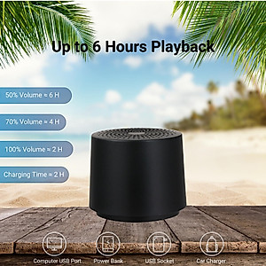 HOAIYO TWS Portable Wireless Speaker with Built in Mic and Play 2 Speakers Together (Gold)
