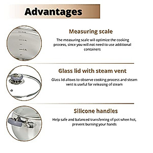 Daniks Modern Stainless Steel Stock Pot with Glass Lid| Induction 2 Quart | Dishwasher Safe Pot | Heatproof Handles | Soup Pasta Stew Pot | Silver