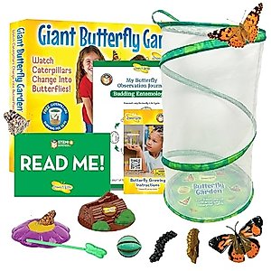 Insect Lore Giant Butterfly Garden with Voucher | 18 Inch Habitat | Life Cycle Figurines Included | Voucher to Redeem 5 Baby Caterpillars Later | Raise Painted Lady Butterflies