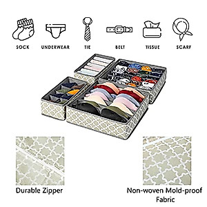  4 Pack Foldable Cloth Storage Box Underwear Drawer Organizers Desk Closet Organizer and For Underwear, Bra, Socks (Light Green)