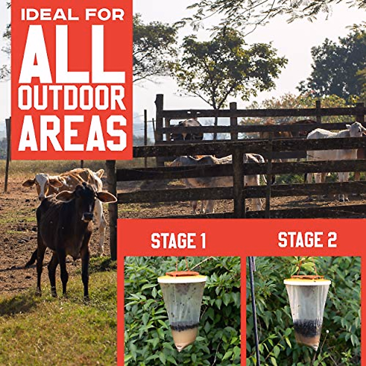 Redtop Flycatchers Standard Size - 100% Non-Toxic Disposable Outdoor Fly Trap - Designed to Attract Egg-Laying Females (4)