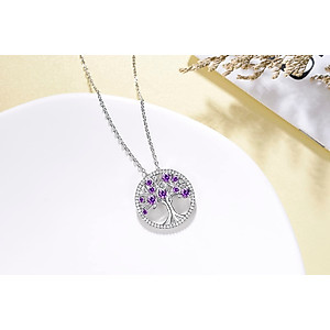 Zes-Husa February Birthstone Amethyst Jewelry Tree of Life Birthstone Pendant Necklace for Women Girls Valentines Day Gifts, Sterling Sliver Necklace Anniversary Birthday Gifts for Mom Wife