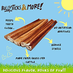 BULLYSTICKS & MORE 6 Inch Bully Sticks (Regular - 16 Pack) | Bully Sticks for Medium Dogs | 100% Grass Fed Beef | Dog Parents Choice Bully Stick Dog Chews | No Hide Bully Bones