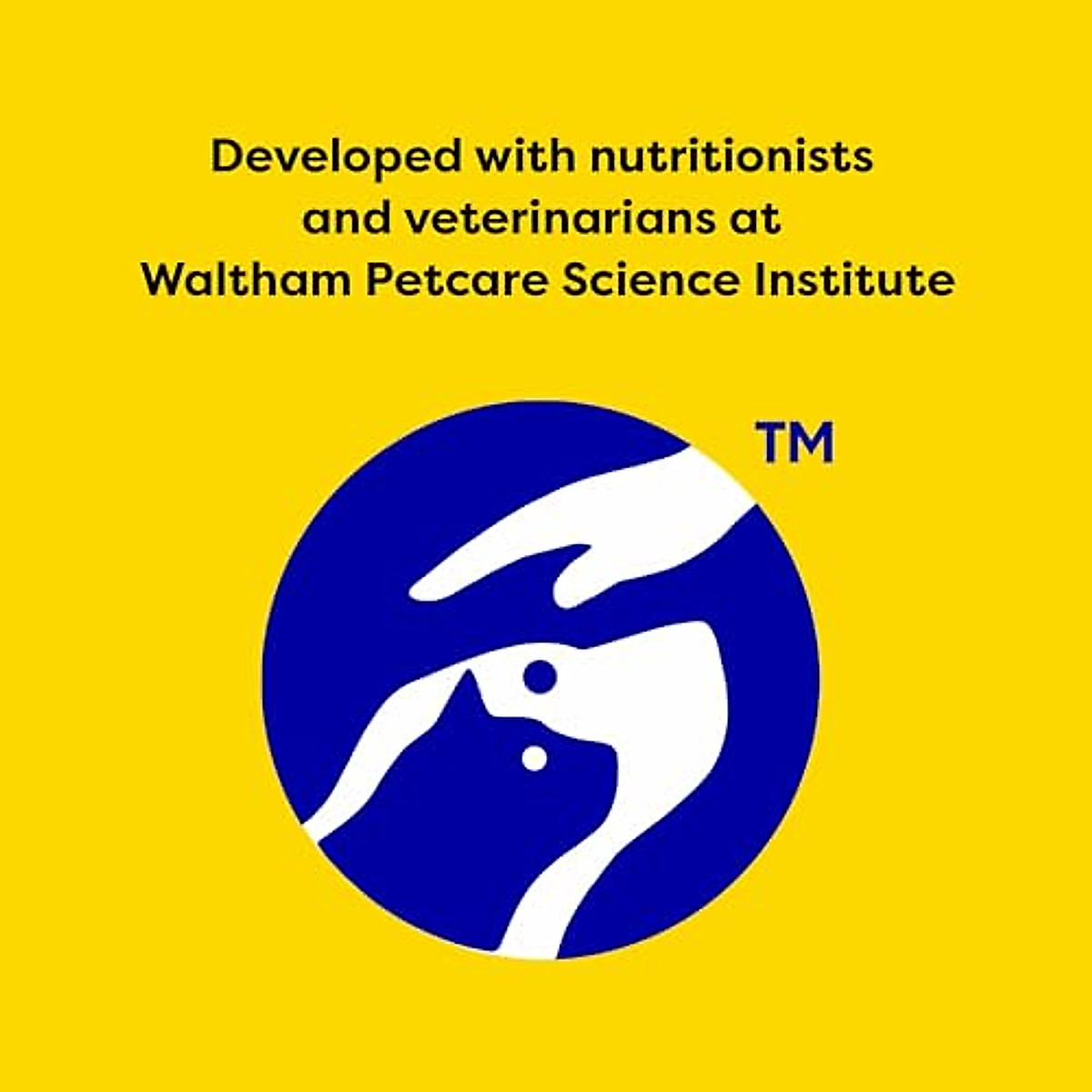 TEMPTATIONS Classic Crunchy and Soft Cat Treats Seafood Medley Flavor, 16 oz. Tub