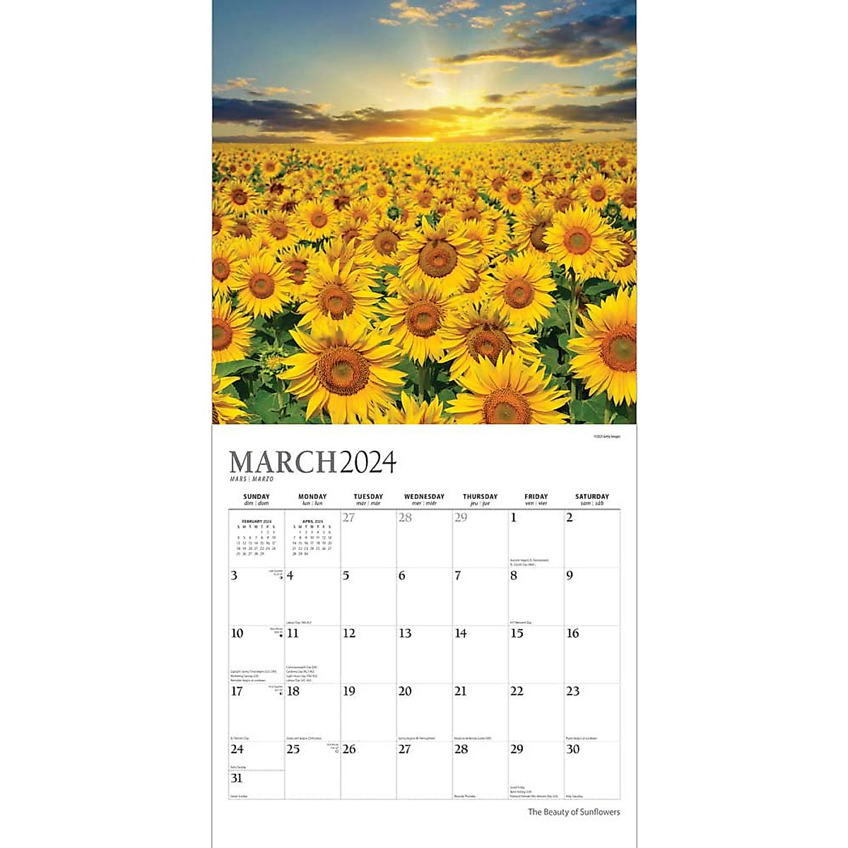 The Beauty of Sunflowers | 2024 12 x 24 Inch Monthly Square Wall Calendar | Sticker Sheet | StarGifts | Flower Floral Plant Outdoor Nature
