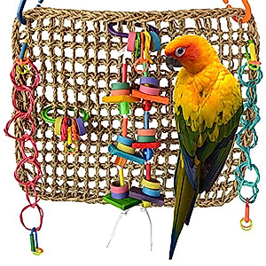 Super Bird Creations SB699 Activity Wall Bird Toy, Medium Bird Size, 12" x 14" x 3"