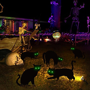 Ivenf Outdoor Halloween Decorations, 5ct Black Cat Yard Decor with LED Lights in Eyes, Scary Cat Silhouette Signs with Stakes, Waterproof Corrugated Plastic, Lawn Decorations for Home School Party