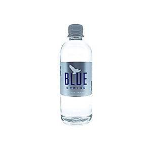 Blue Spring Living Water, Pure Premium Natural Spring Water, pH balance of 7.1-7.2, Bottled Spring Water, 16.9 Fl Oz, (Pack of 12)