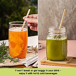100% Biodegradable Eco-Friendly Wrapped Straws, 100ct – 8.25"H, Made of Vegetable Fibers