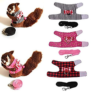 POPETPOP 2Pcs Small Pet Harness with Leash Guinea Pig Rabbit Harness Ferret Hamster Vest Leash Size M (Golden Star)