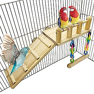 Bird Wooden Play Gyms Stands with Climbing Ladder and Acrylic Wood Swing for Green Cheeks, Lovebirds, Finches, Conures, Cockatiels, Parakeets, Bird Perches Cage Play Chewing Toys