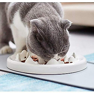 Slow Feeder Bowl for Cats and Small Dogs,Cilkus Fish Pool Design, Fun Interactive Bloat Stop Puzzle Feeder Bowl Healthy Eating Diet Made of Melamine Food Grade Material Dishwasher Safe (Small,White)