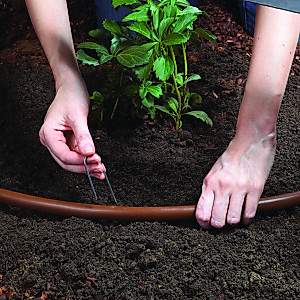 Raindrip SDFSTH1P Automatic Drip Irrigation Watering Kit with Timer for Flowers, Shrubs, and Trees, Waters up to 10 Plants, Includes Timer with Customizable Settings, 2 GPH Drippers