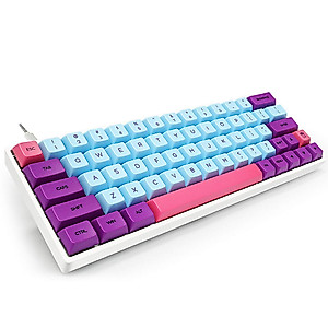 SK64 60% Mechanical Gaming Keyboard, 61 Keys Multi Color RGB Illuminated LED Backlit Wired Programmable With PBT Heat Sublimation Keycaps for PC/Mac Gamer (Joker Limited Edition, Gateron Optical Blue)