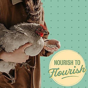 Scratch and Peck Feeds Organic Layer Pellets 16% - Premium Chicken and Duck Feed Formulated with Sustainable Grub Protein, Vitamins, and Minerals – 25 lbs