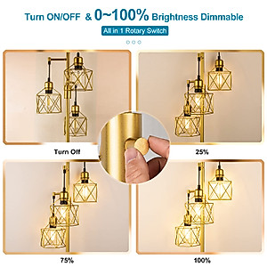 Lightdot 68IN Dimmable (Brightness Adjustable) Floor Lamp Diamond Cage Gold Tree Floor Lamps for Living Room 3000K Warm Soft Brightness LED Standing Lamp - E26 LED Bulb Included