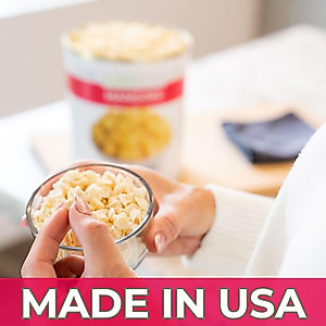 Nutristore Freeze Dried Mangoes | #10 Can Fruit | Perfect Healthy Snack | Emergency Survival Bulk Fruit Food Storage | Amazing Taste & Quality | 25 Year Shelf Life