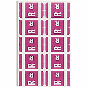 Smead AlphaZ ACCS Color-Coded Alphabetic Label R, Purple, 100 Labels per Pack (67188)