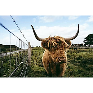 Sony E-mount FE 24mm F1.4 GM Full Frame Wide-angle Prime Lens (SEL24F14GM), Black