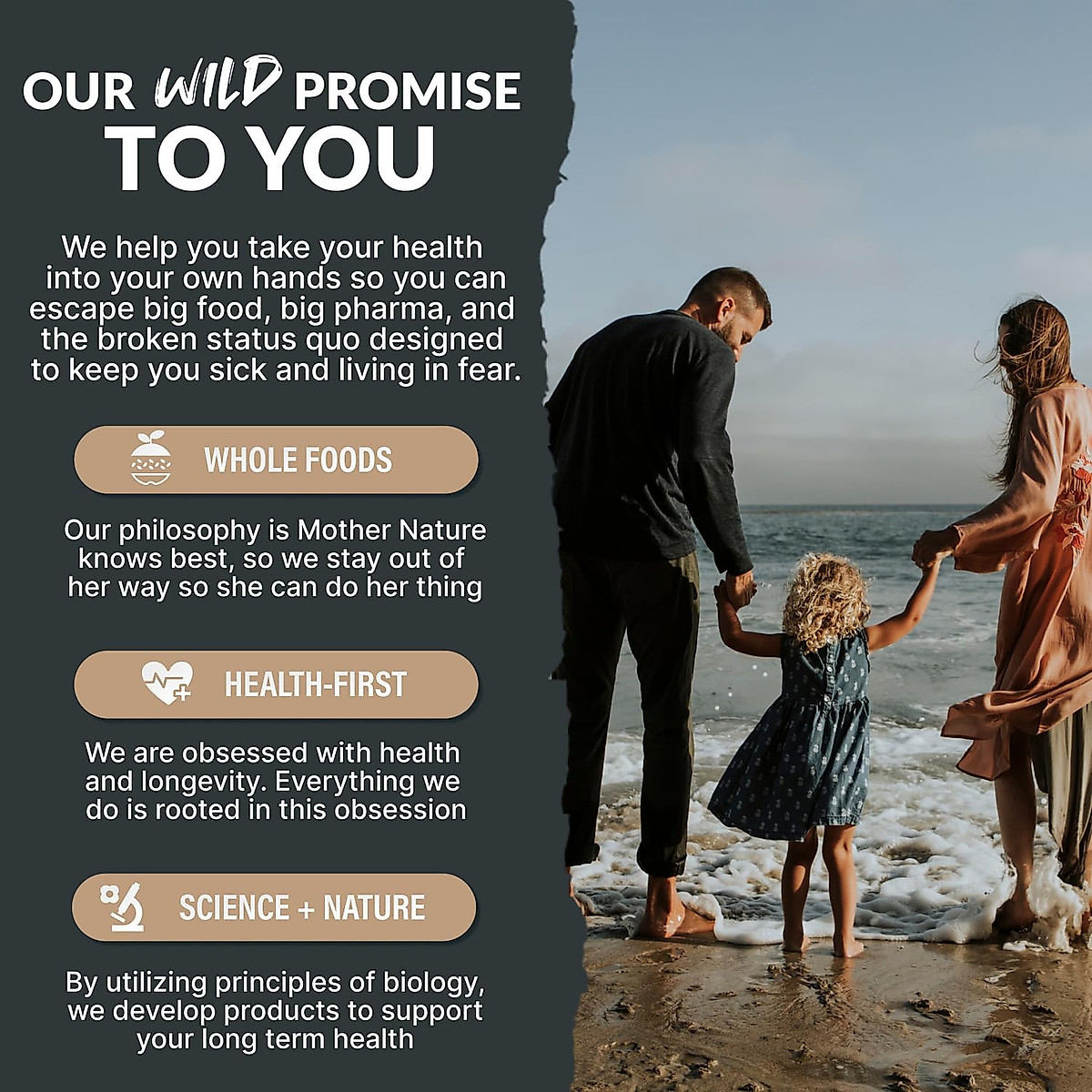 Wild Foods Organic Vanilla Bean Powder - All Natural Pure Vanilla from Madagascar - For Baking Cooking Coffee Flavoring & Smoothies - Unsweetened Gluten Free Non GMO Superfood (1 ounce)