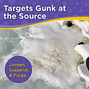 Bio Ouster Spa Purge Hot Tub Jet Cleaner - Hot Tub Chemicals, Inflatable Hot Tub Chemicals, Hot Tub Cleaner for Jets and Tubes, Spa Chemicals for Hot Tub, Spa Cleaner Hot Tub and Spa Chemicals (Kit)