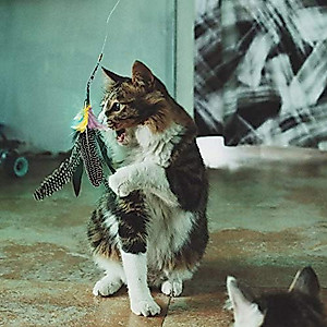 Highland Farms Select Handmade Natural Feather Cat Toy Dah Bird Refills - Interactive Cat and Kitten Toy - 6 Pack