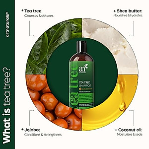Artnaturals Tea Tree Shampoo - (16 Fl Oz / 473ml) - Sulfate Free – Made with 100% Pure Therapeutic Grade Tea Tree Essential Oil