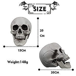 MOKRY PARTY Life Size Skeleton Skull for Halloween Decor Graveyard Outdoor White
