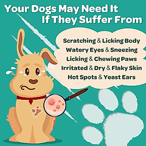 Dog Allergy Relief Freeze Dried Chews, with Probiotics, Colostrum for Immune Health, Probiotics for Dogs - Dog Probiotics and Digestive Enzymes for Digestive Health